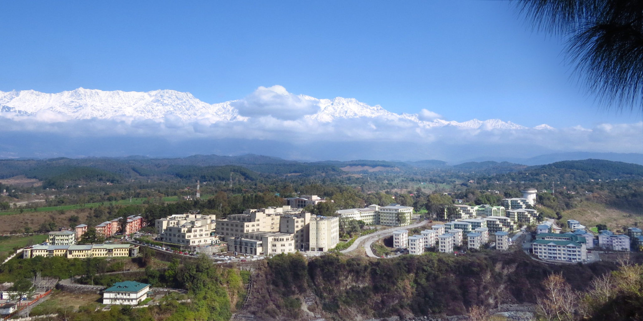 Dr. Rajendra Prasad Govt. Medical College & Hospital